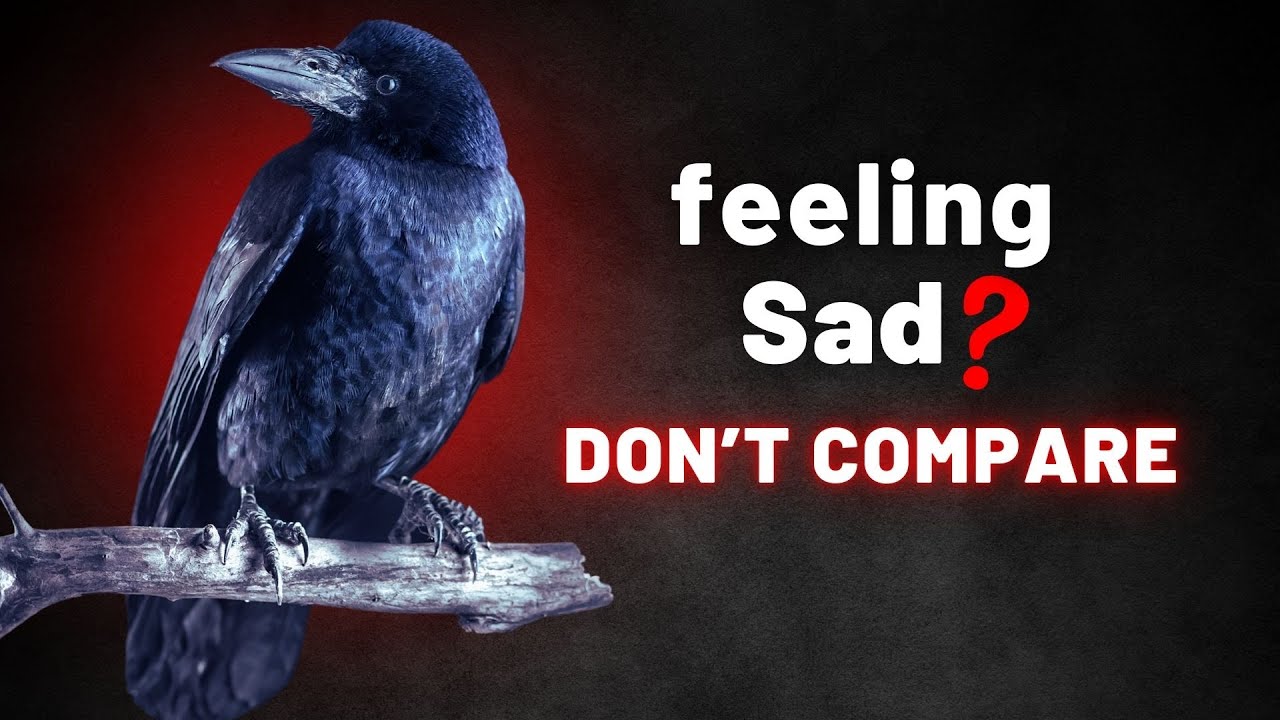 A Life-Changing Story of An Unhappy Crow - YouTube