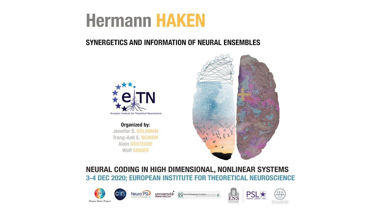 Hermann Haken - Synergetics and Information of Neural Assemblies - YouTube