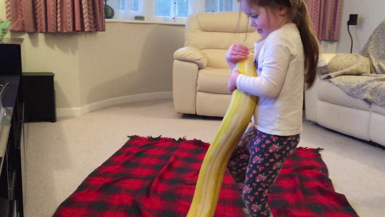 5 year old picking up 12ft Reticulated Python - YouTube