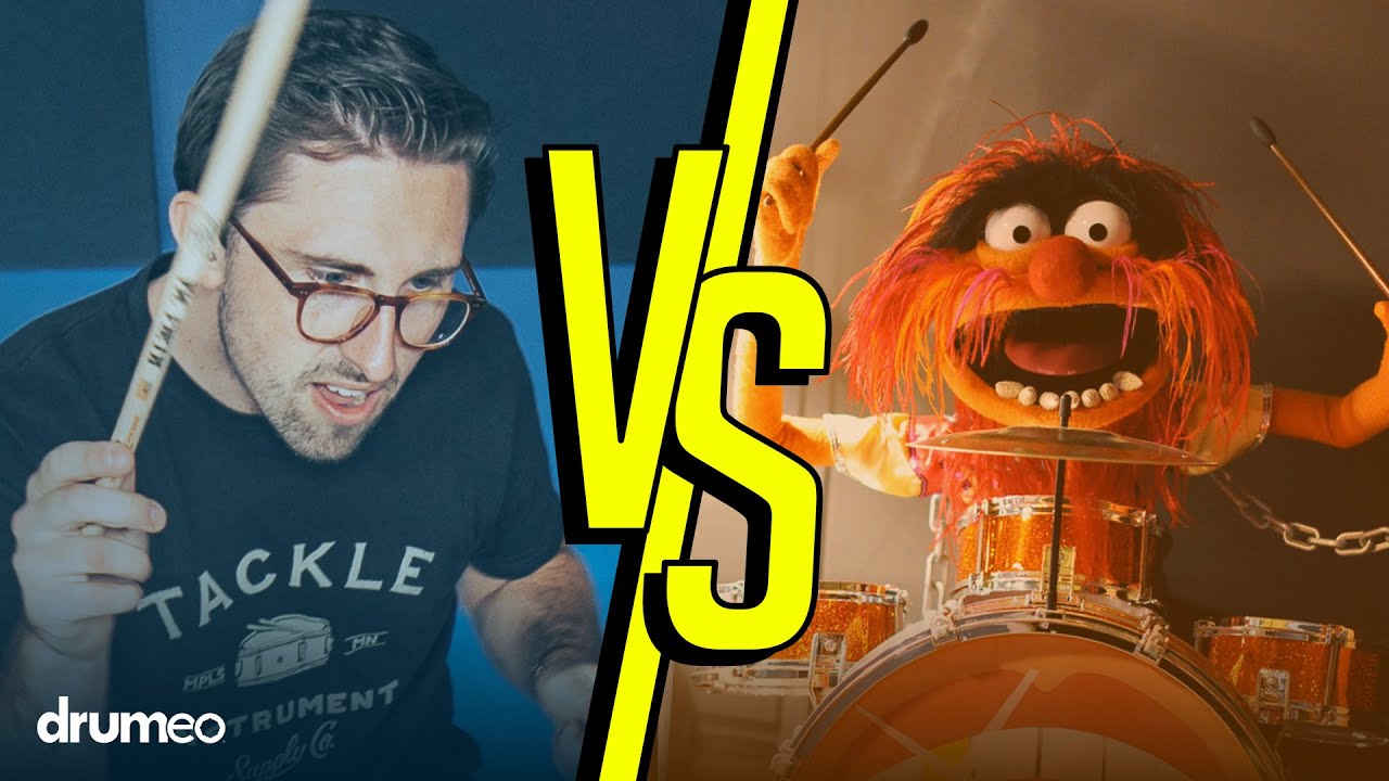 Muppets Animal Drummer Wallpaper