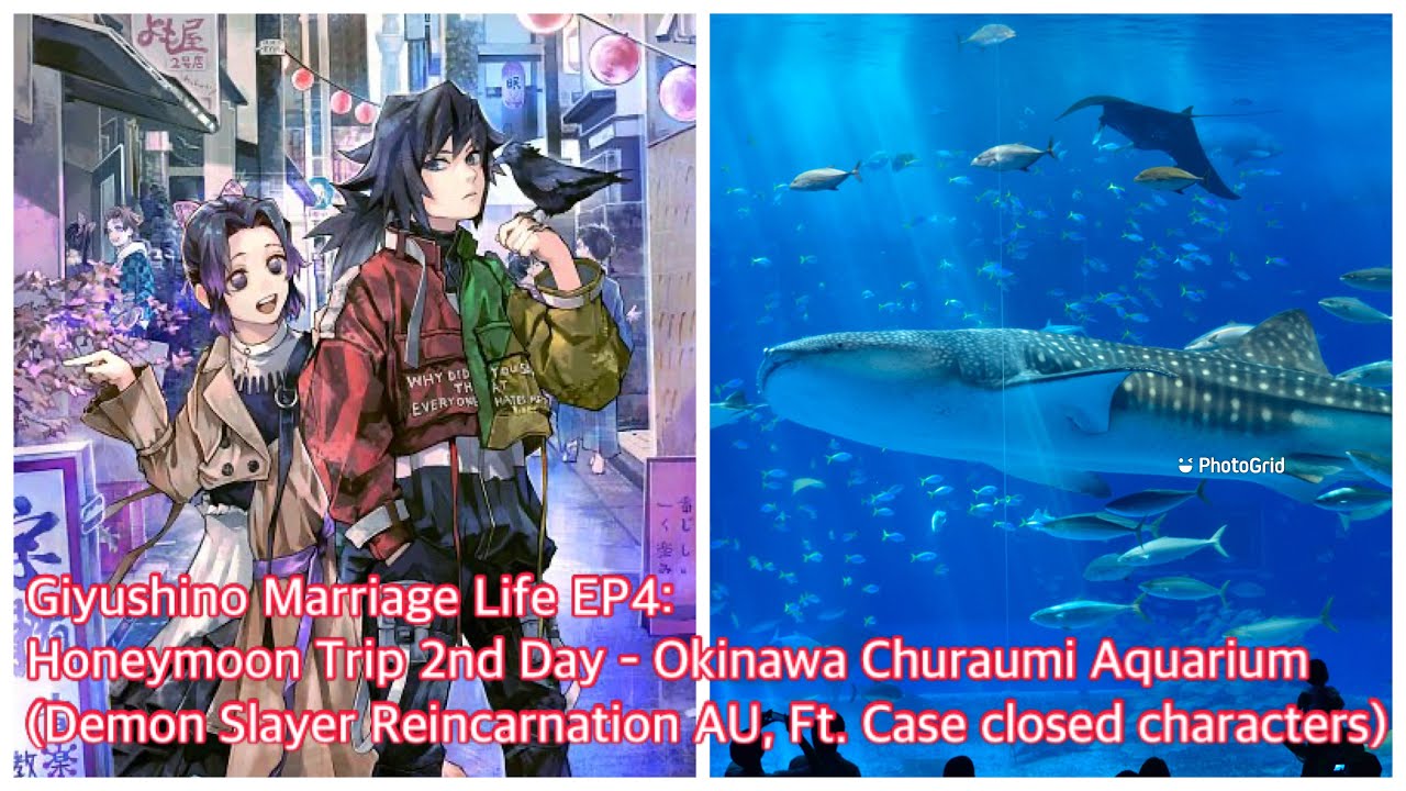 Giyushino Marriage Life EP4: Honeymoon 2nd Day - Okinawa Churaumi ...