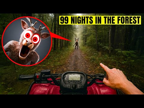 DRONE catches 99 NIGHTS IN THE FOREST in REAL LIFE!! (DEER FULL MOVIE!)