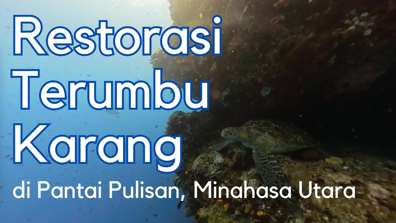 Helene Farrell Bee - Festival Handai 2024 - Membawakan Reportase - YouTube