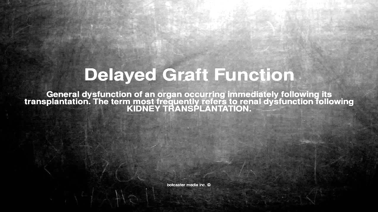 Medical Vocabulary What Does Delayed Graft Function Mean YouTube medical-vocabulary-what-does-delayed-graft-function-mean-youtube