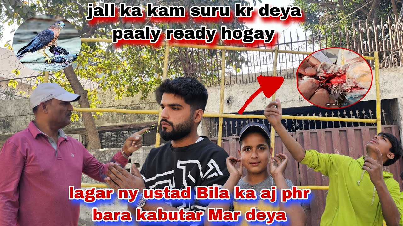 lagar ny ustad Bila k baray kabutar ko aj phr mar deya🥺Chama or haseeb ...