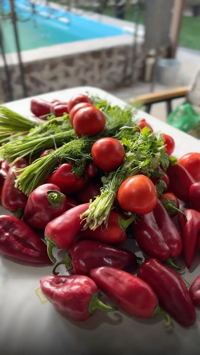 🌶 Идеальная приправа на зиму: Лучший рецепт из болгарского перца ...