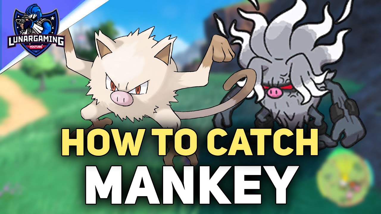 Mankey Location Pokemon Violet and Scarlet - YouTube
