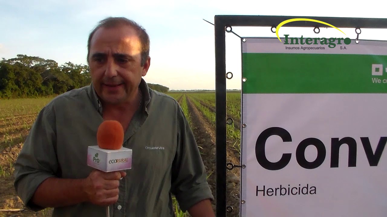 INTERAGRO y BASF presentan su herbicida CONVEY para uso en caña de ...