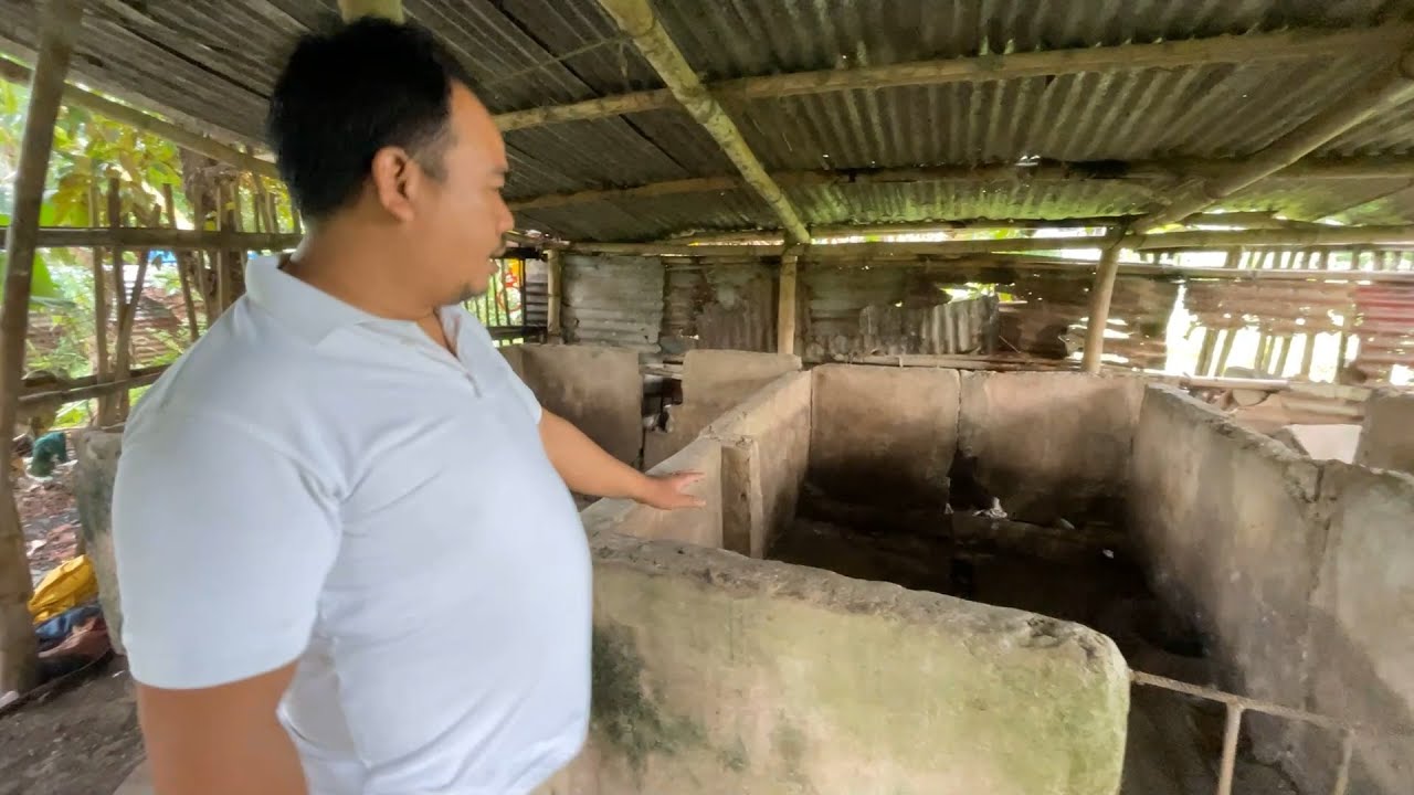 Sitwasyon sang hog raiser - YouTube