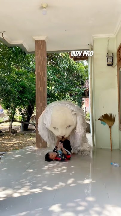 Bocil pasrah di gigit can macanan - YouTube