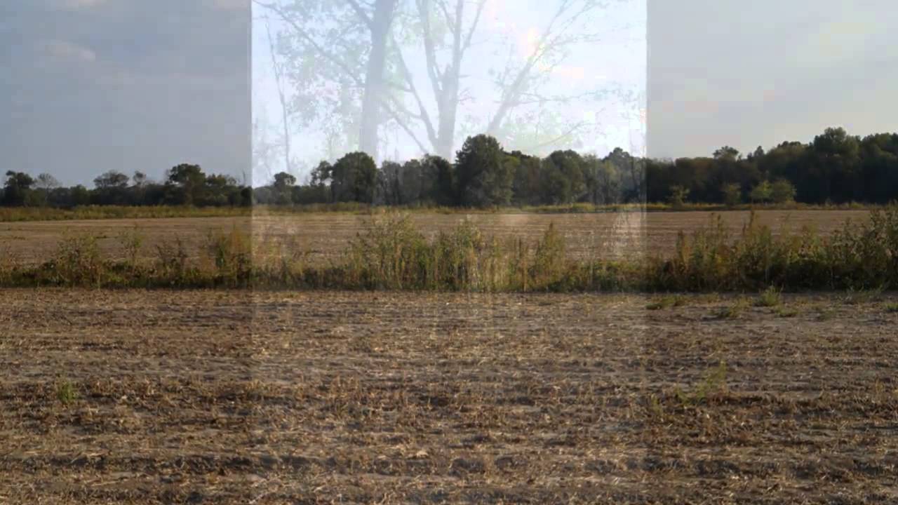 Hard Cash Bayou - YouTube