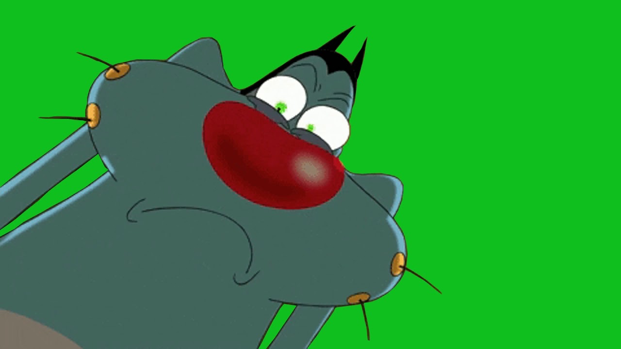 Oggy green screen | angry oggy green screen | green screen - YouTube