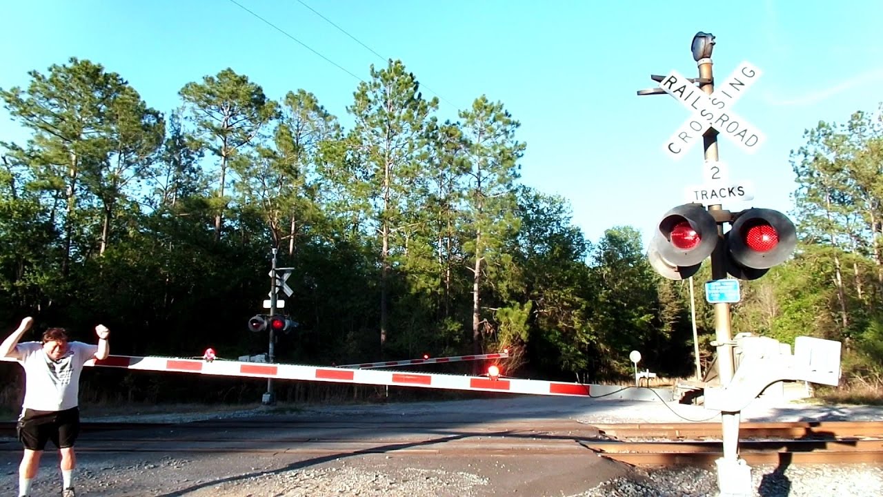 Amtrak Train Silver Meteor Crossing Gate Hits Man On Head - YouTube