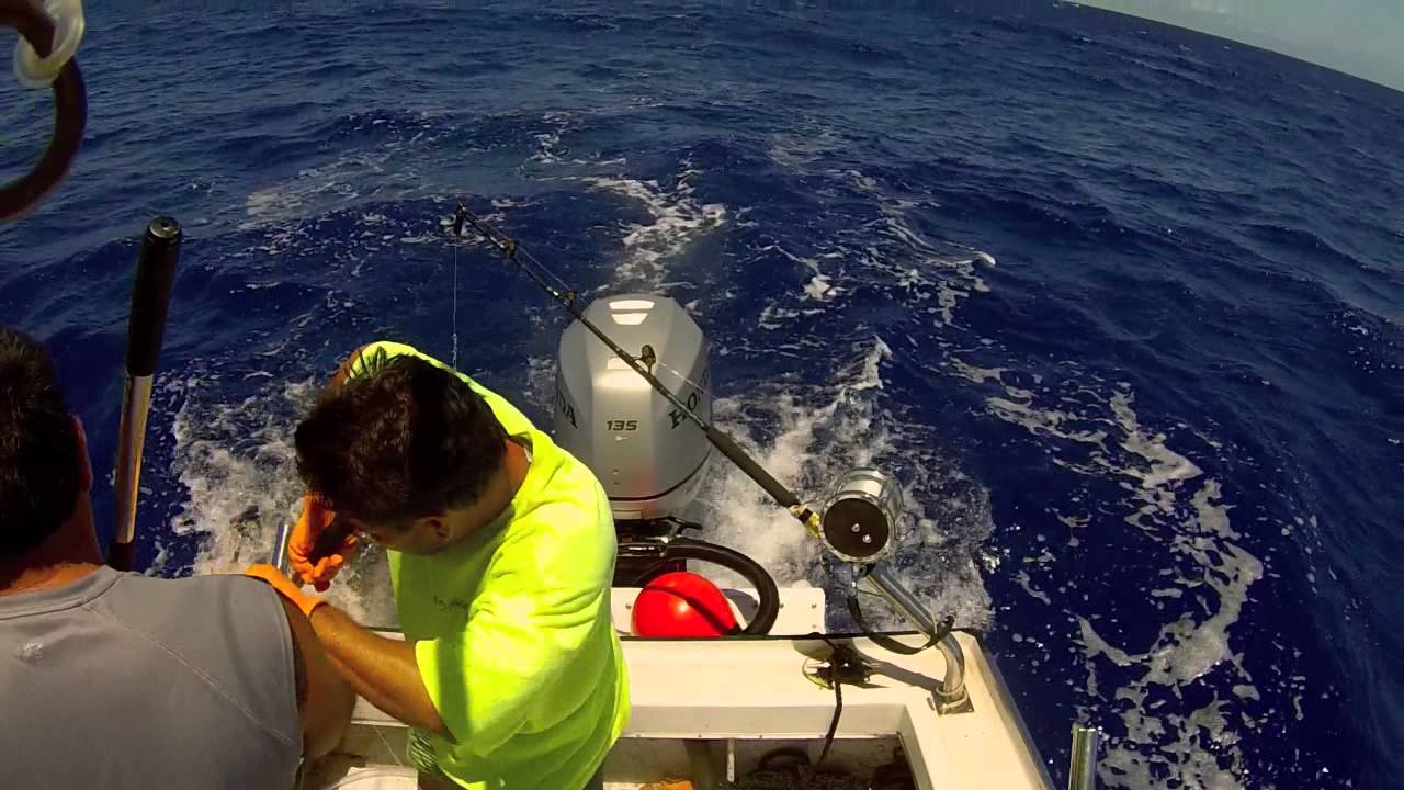 Hawaiian Kine Fishing Ep:1 - YouTube