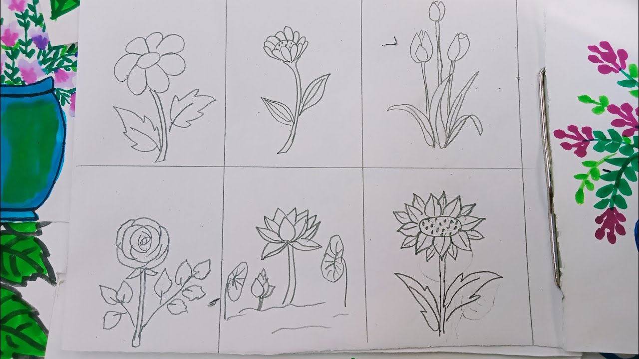 Easy 6 Defferent Types Flowers Drawing || Easy Flowers Art's || Drawing ...