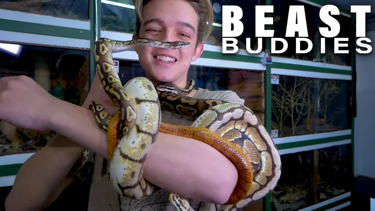 Venomous Snakes Helped Save My Life | BEAST BUDDIES - YouTube