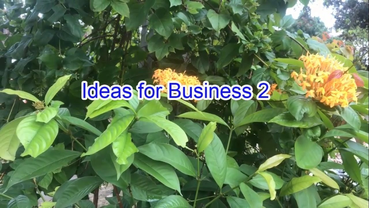 Ideas For Business 2 YouTube ideas-for-business-2-youtube