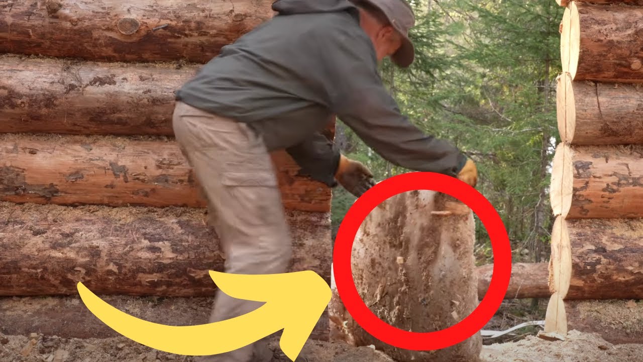 My Self Reliance - 10 Things You Don't Know About My Self Reliance ...