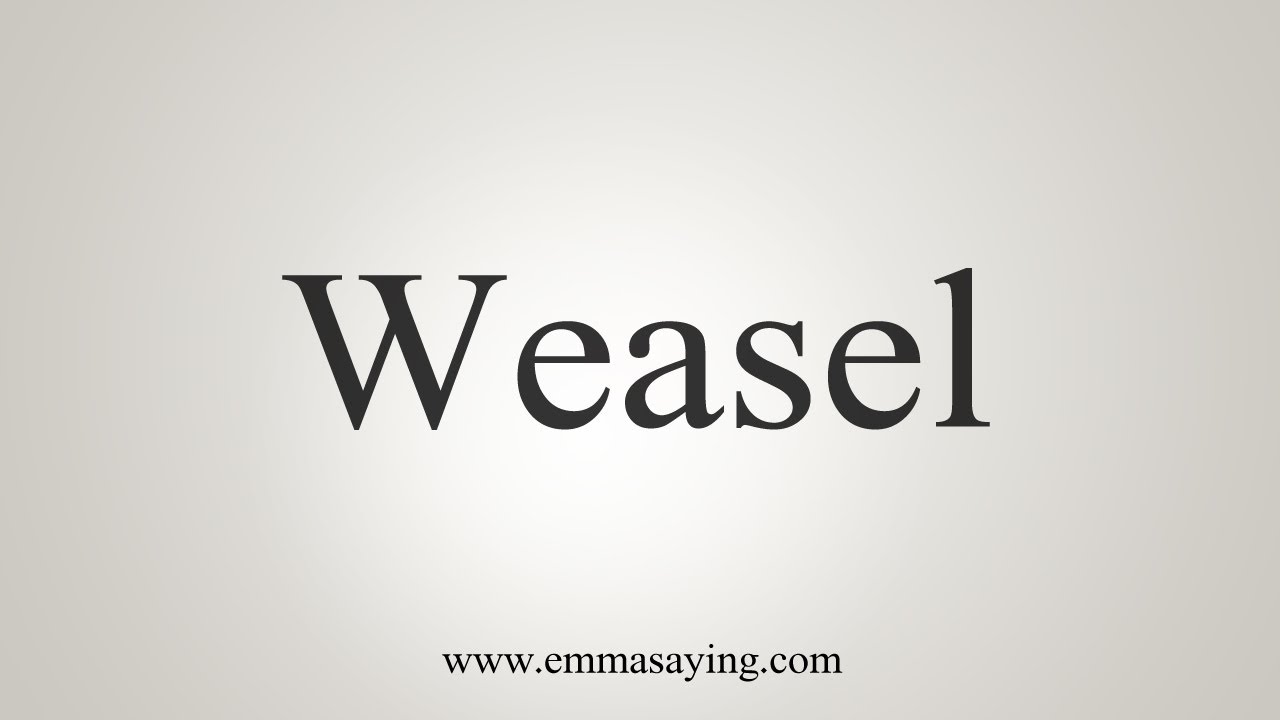 How To Say Weasel - YouTube