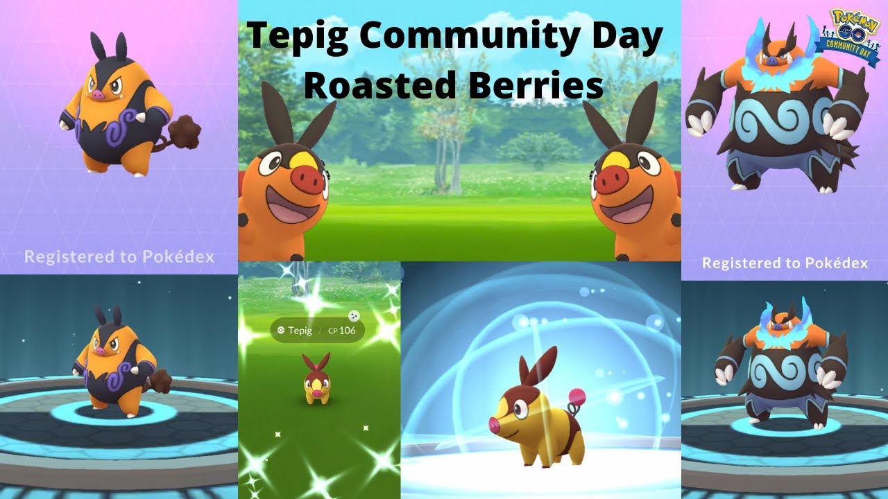 Find Shiny Tepig In Pokemon Go Community Day Special Research *Best ...