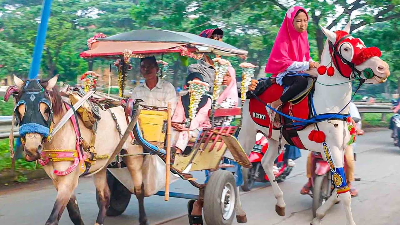 NAIK KUDA DELMAN SHOLAWATAN RAHMATUN LIL' ALAMEEN!!! KUDA DELMAN HIAS ...