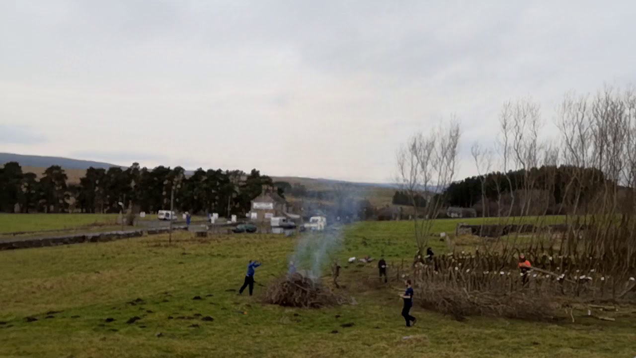 Timelapse of the Willow Maze Disappearing - YouTube