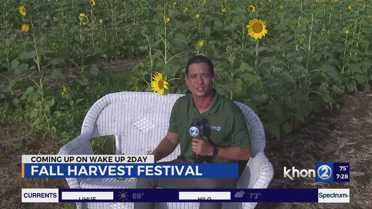 Fall Harvest Festival At Waimanalo Country Farms Begins YouTube fall-harvest-festival-at-waimanalo-country-farms-begins-youtube