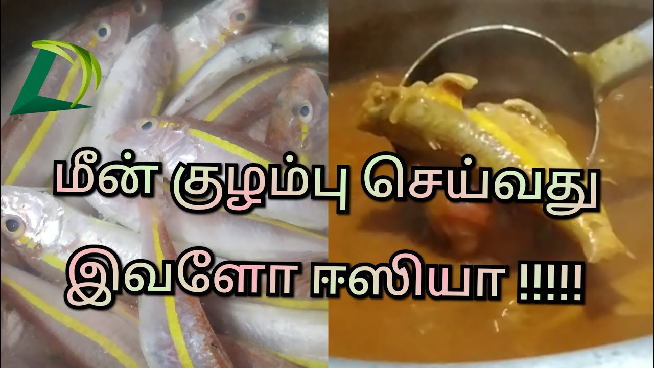 மீன் குழம்பு | நவரை மீன் | Navarai meen Kulambu Recipe | Laya Tube ...