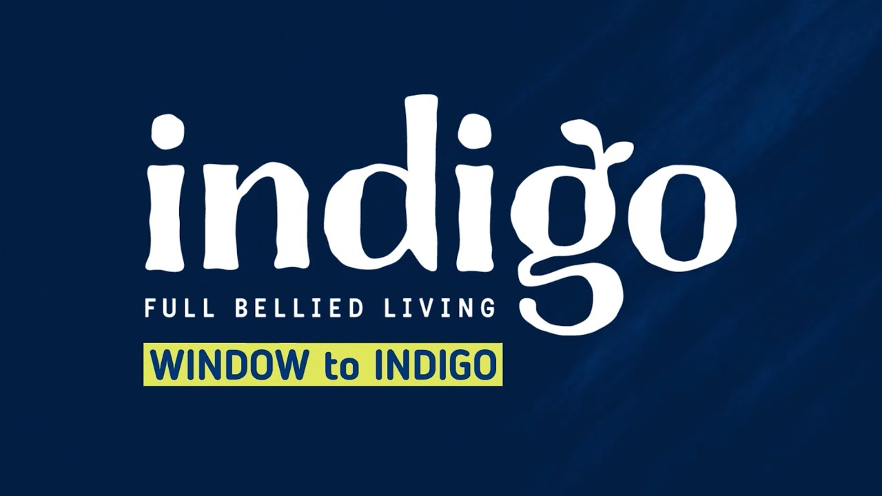 Window to Indigo: Why Indigo - YouTube