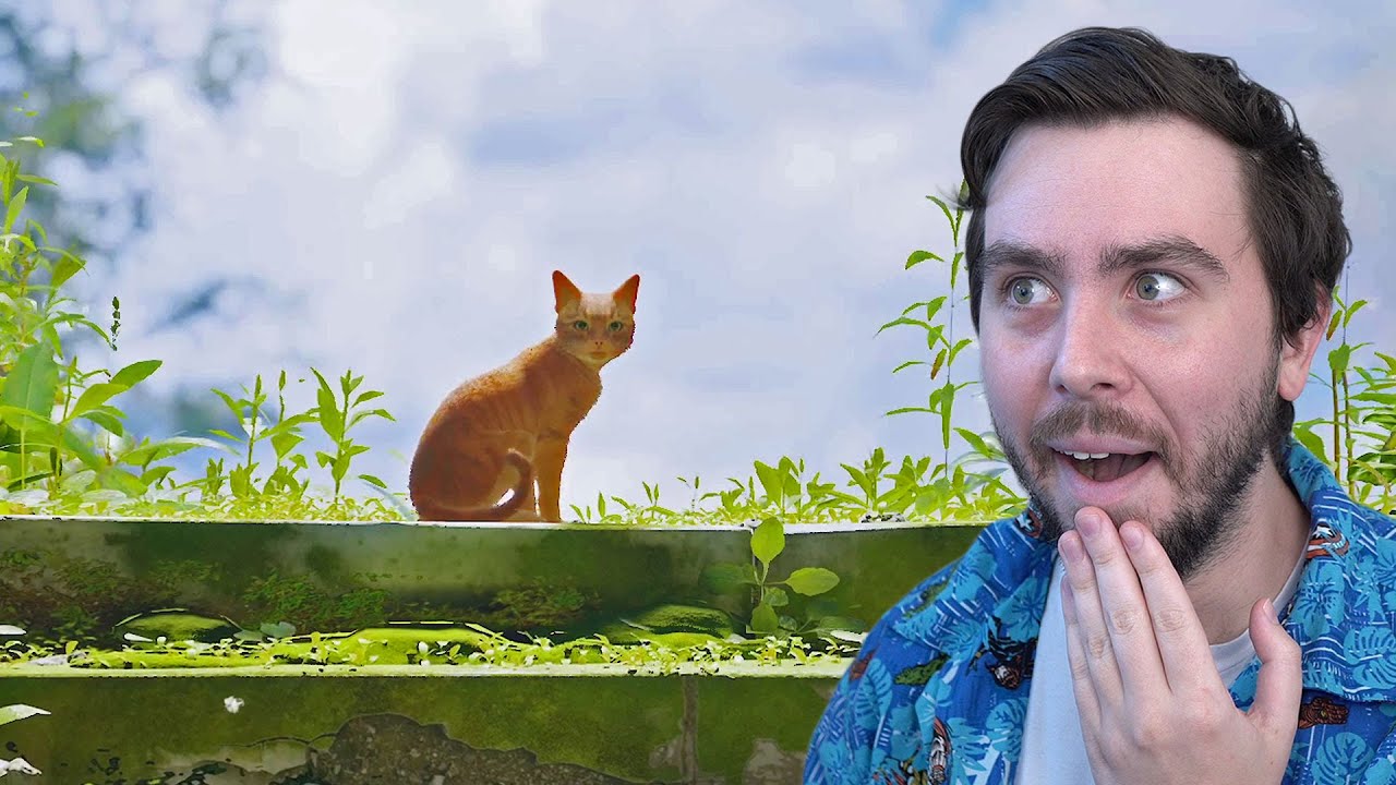 How a cat saved the world! (Streamed 7/21/2022) - YouTube