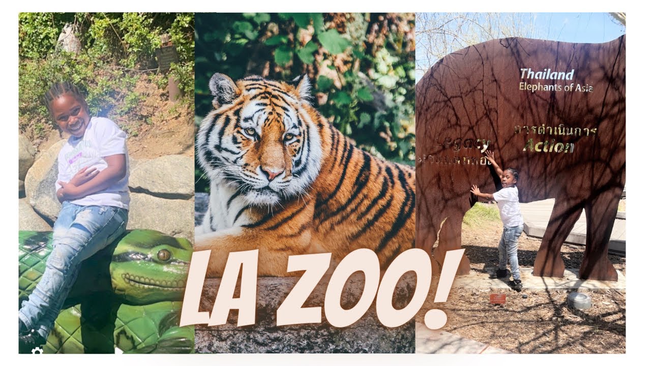 My FIRST FIELD TRIP!!! | LA ZOO 🦓 - YouTube