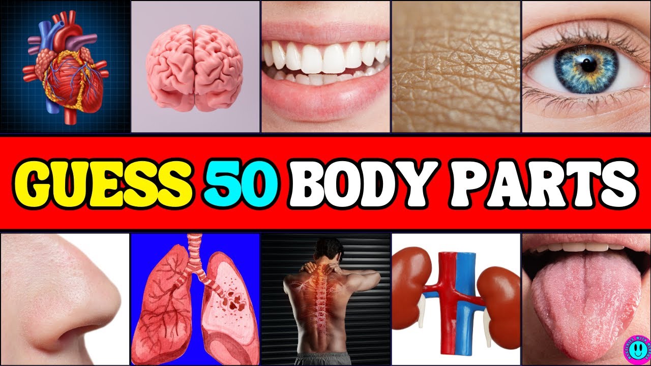 Guess The Human Body Parts In 3 Seconds🧭Body Quiz Trivia Challenge ...