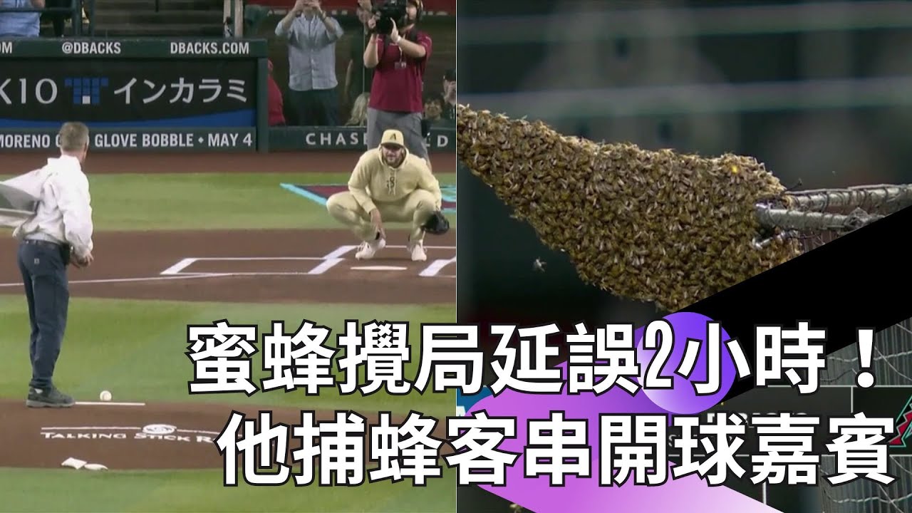【2024 MLB】BEE DELAY！道奇和響尾蛇的比賽為什麼晚了2小時才開始？我說球場有一大群蜜蜂聚集你相信嗎！來看贏得全場歡呼聲的專業捕 ...