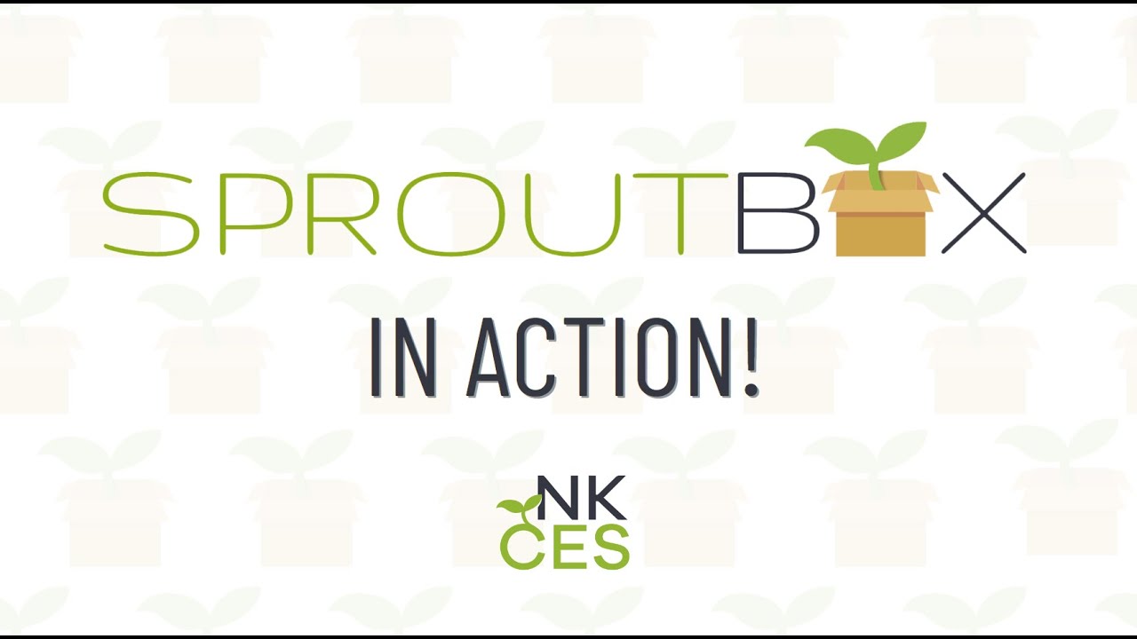 January SproutBox Delivery Day! - YouTube