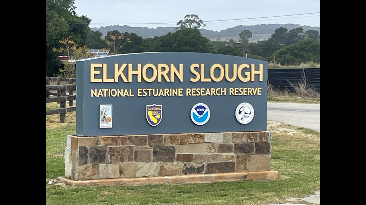 Hiking Elkhorn Slough | Hidden Gem in Monterey County - YouTube