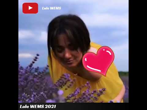 Sevgi mahnisi   ( Geceler sensiz  )2021