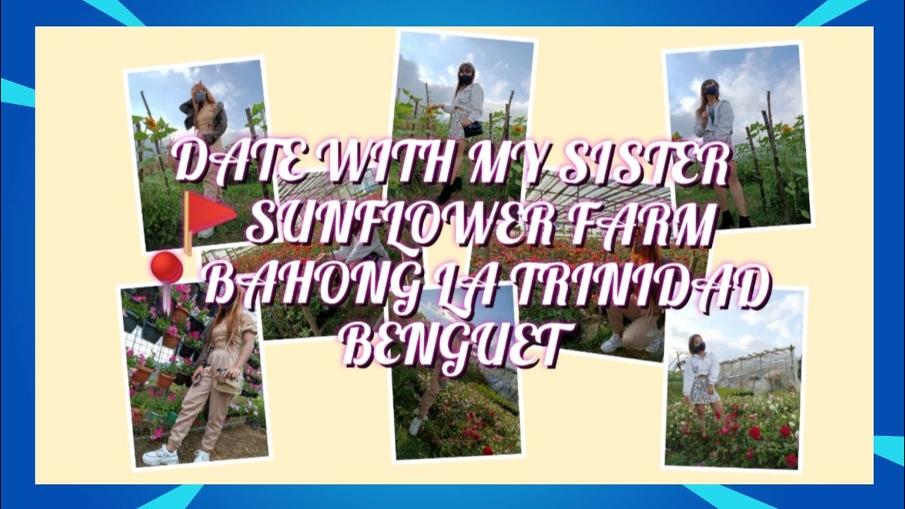 DATE WITH MY SISTER ( SUNFLOWER FARM - BAHONG LA TRINIDAD BENGUET ...
