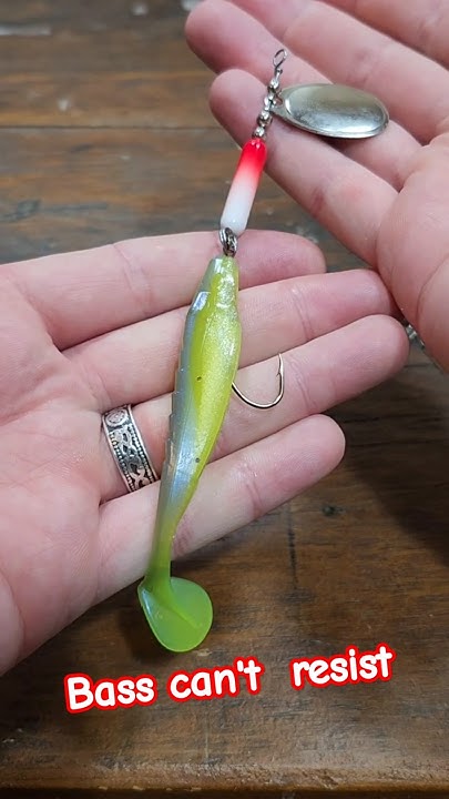 Fun DIY bass fishing spinner. The dinner spinner - YouTube