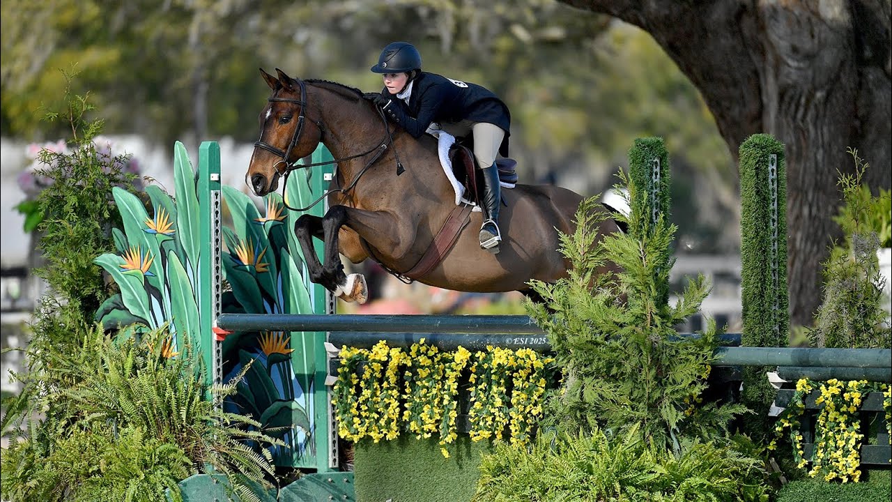 Video 11. $10,000 USHJA Jr/Am National Hunter Derby - Lyla Schenck ...