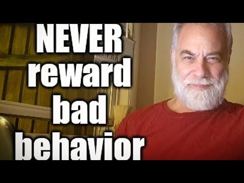 Never reward bad behavior - YouTube
