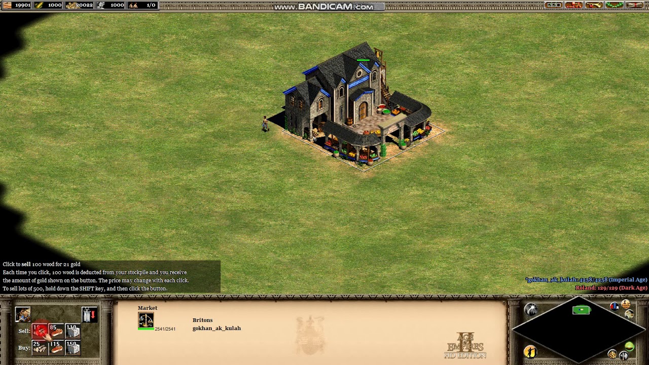 Age Of Empires 2 Sinirsiz Odun Altin Yİyecek TaŞ Unlimited Wood Food