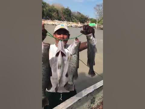 Hasil mancing d pulau garam madura - YouTube