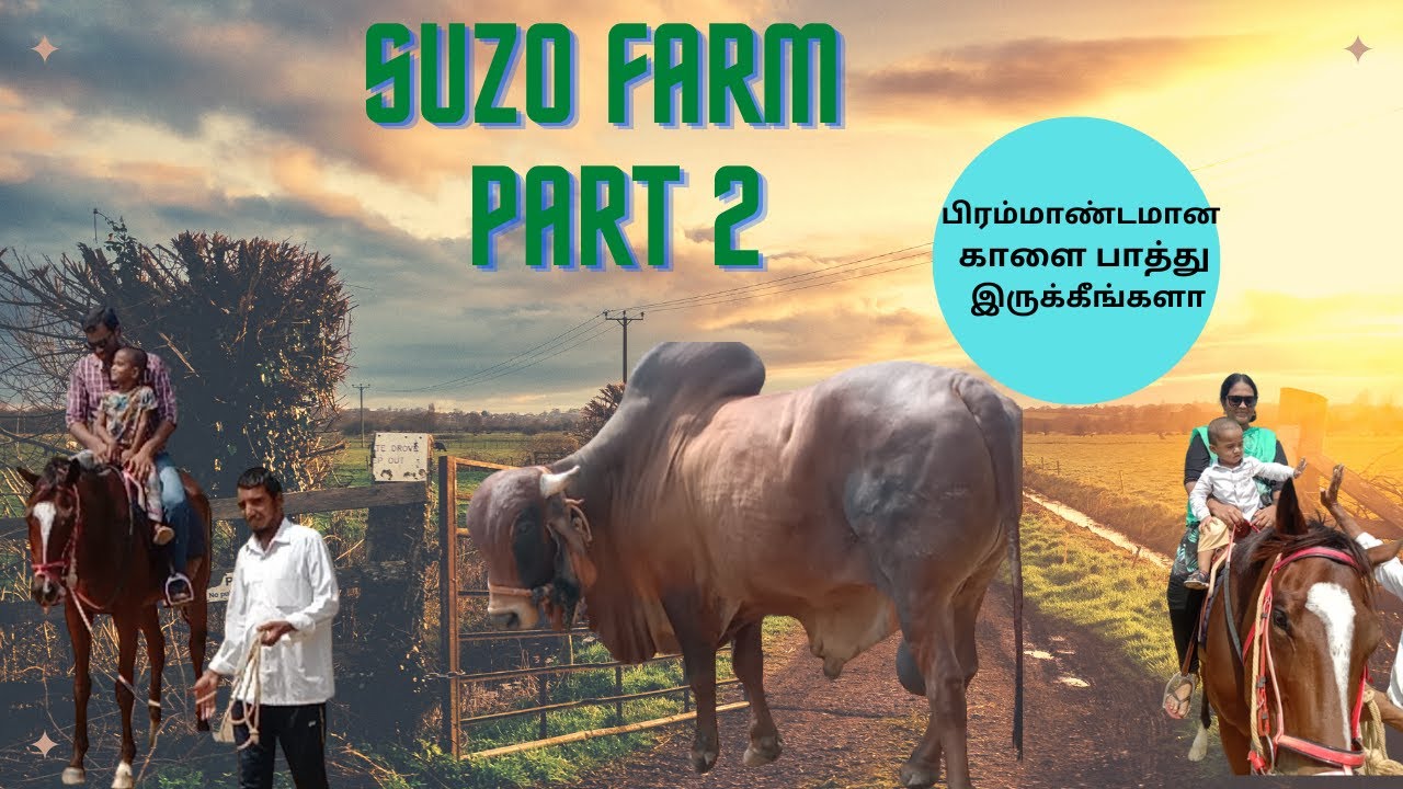 Suzo Farm Part-2 | பிரம்மாண்டமான காளை | Pranav & Prahaan ...