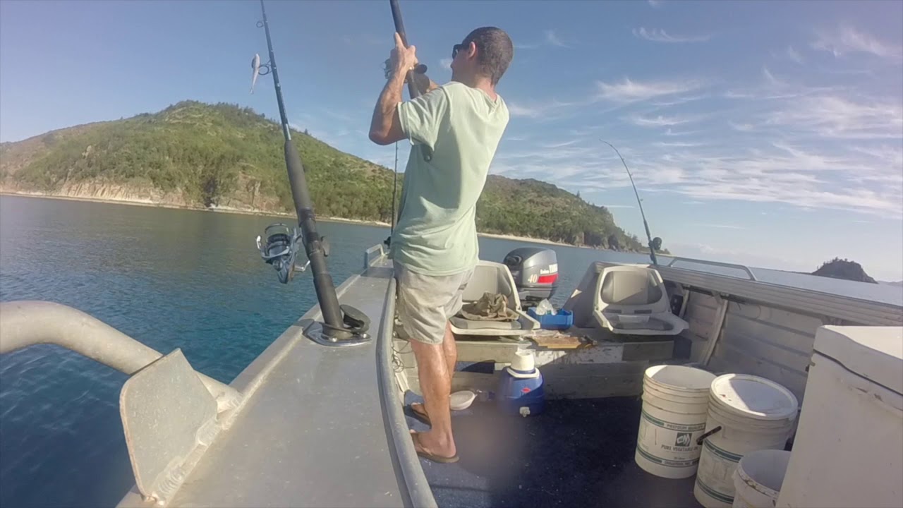 Mackay. Cockermouth Island.Shallow water reef fishing - YouTube