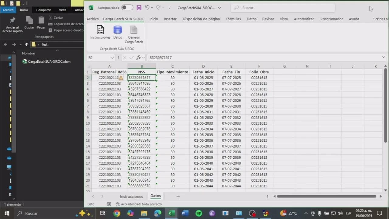 Carga Batch 2025 SUA SIROC en Excel | Carga Batch SUA | Carga Batch SIROC | Carga Batch en Excel ...