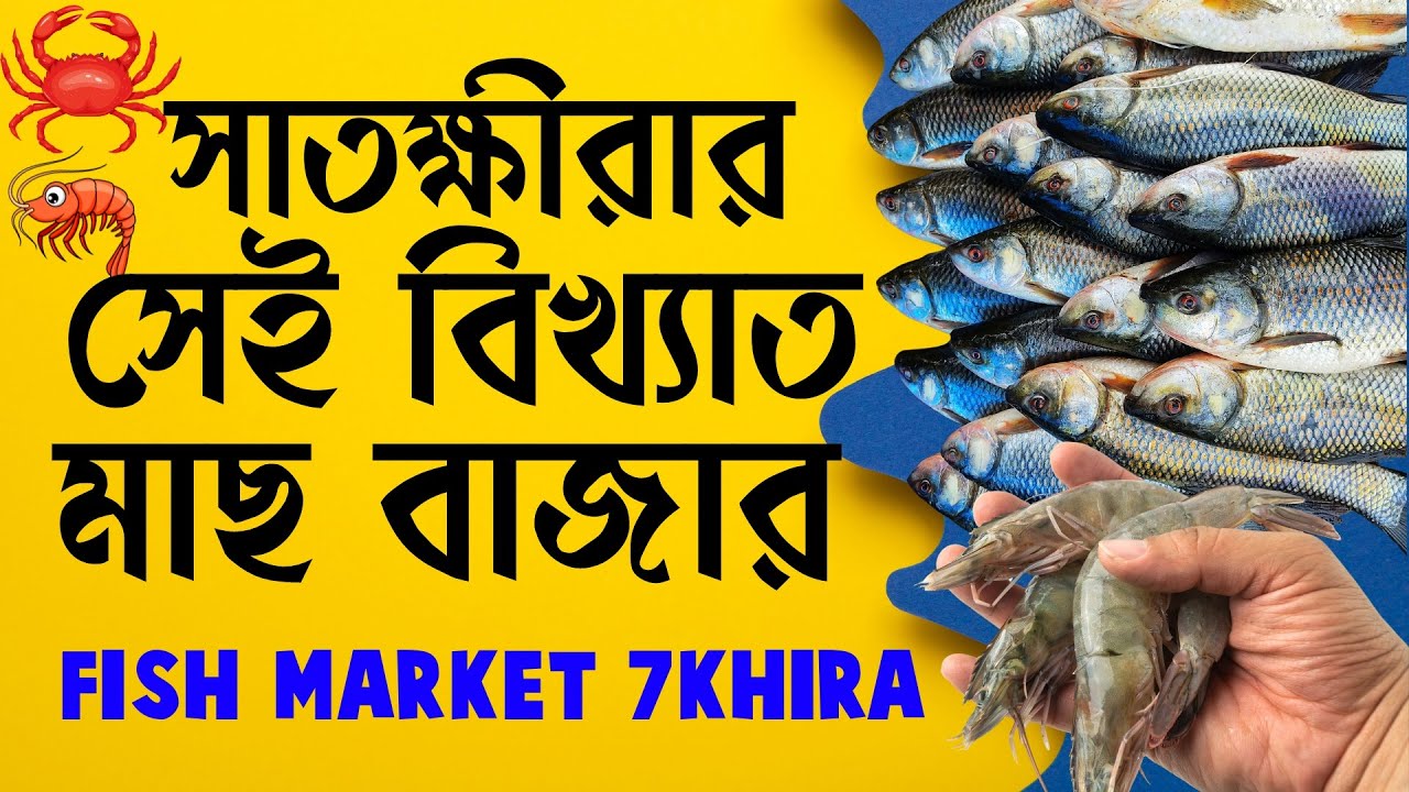 সাতক্ষীরার যে বাজার থেকে ঢাকায় প্রচুর মাছ আসে | Fish Market Satkhira - YouTube