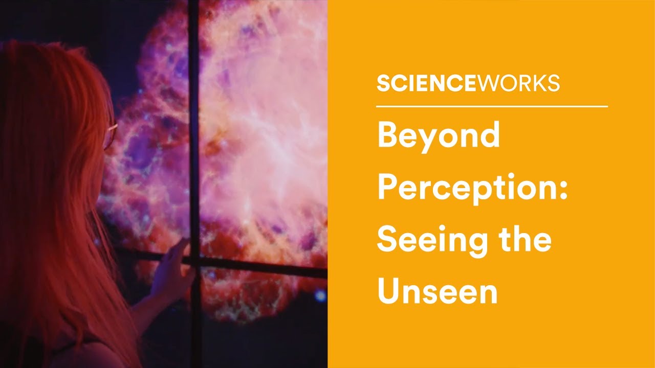 Beyond Perception: Seeing the Unseen - YouTube