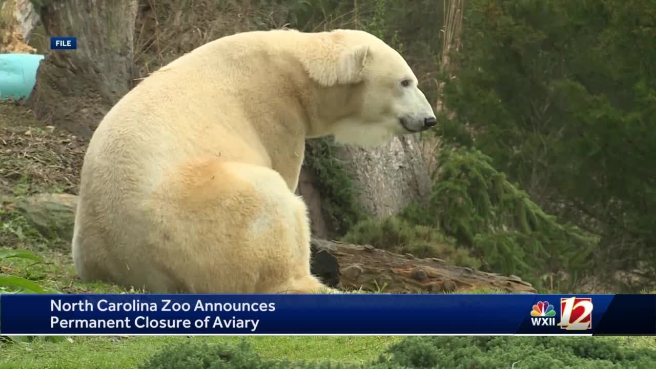 North Carolina Zoo permanently shutting down bird aviary habitat - YouTube