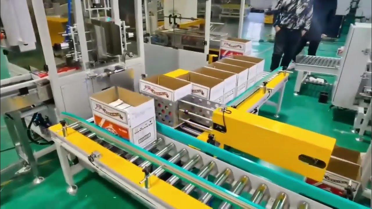 Discover the Automatic Side Push Case Packer for Boxed Ointments! |side load case packing ...