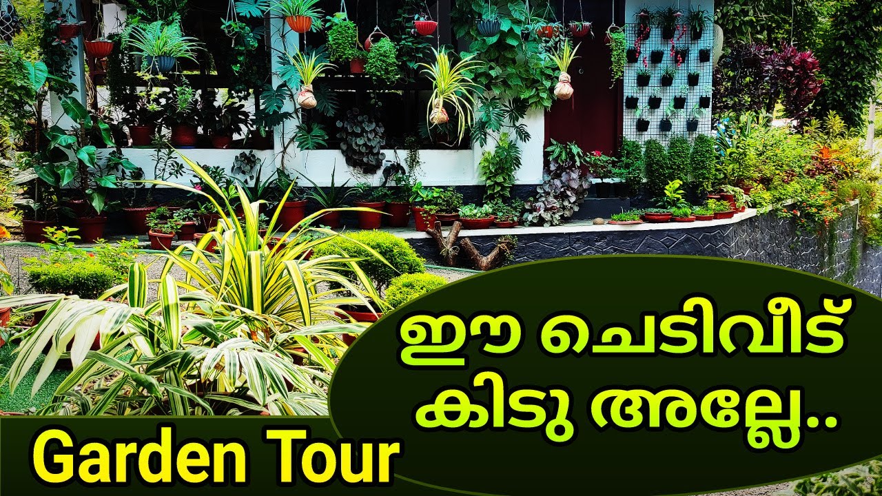 garden tour, beautiful garden, home garden ideas, easy gardening - YouTube
